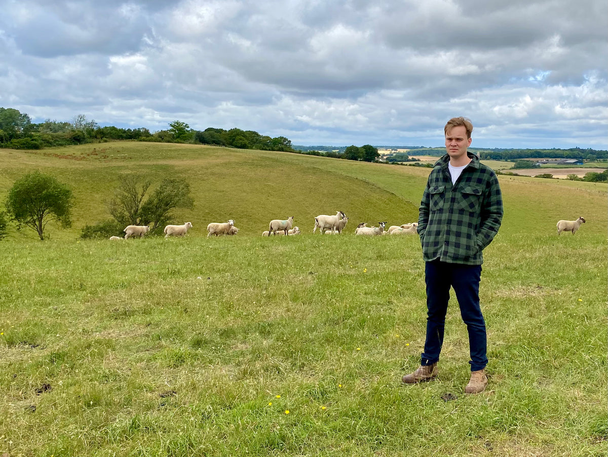 Free Range Chicken Breast Supremes – Just William Butchers